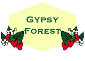 gypsyforest.com - Healthy Living